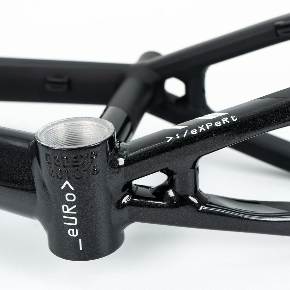 Staystrong V5 Disc Expert Frame