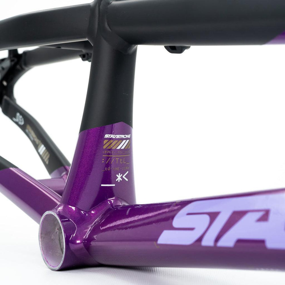 Staystrong V5 Disc Expert XL Cruiser Frame