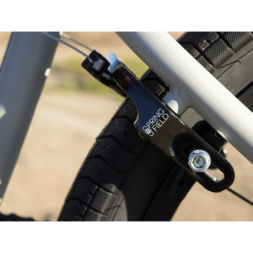 Sunday Model C 24 Inch Bike | Shop at LUXBMX