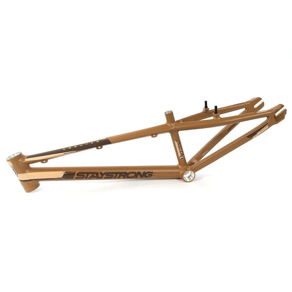 Stay Strong V3 For Life Expert XL Frame | Shop at LUXBMX