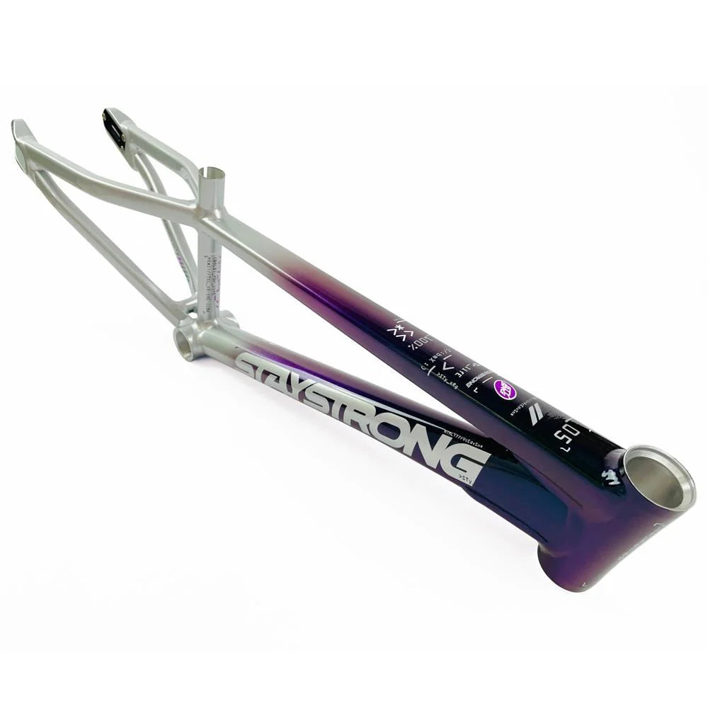 Staystrong V5 Disc Expert Frame