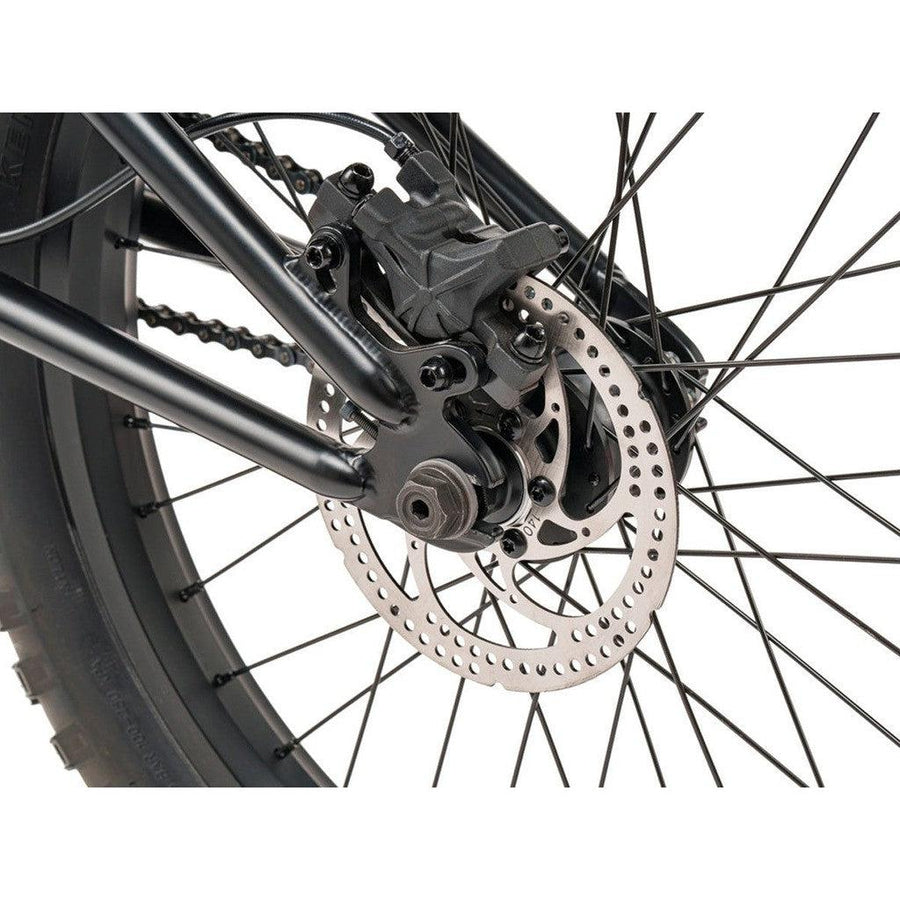 Wethepeople Swampmaster 20 Inch Bike | Shop at LUXBMX